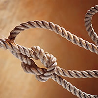 NAVIS.IT - Newsletter Settembre 2009